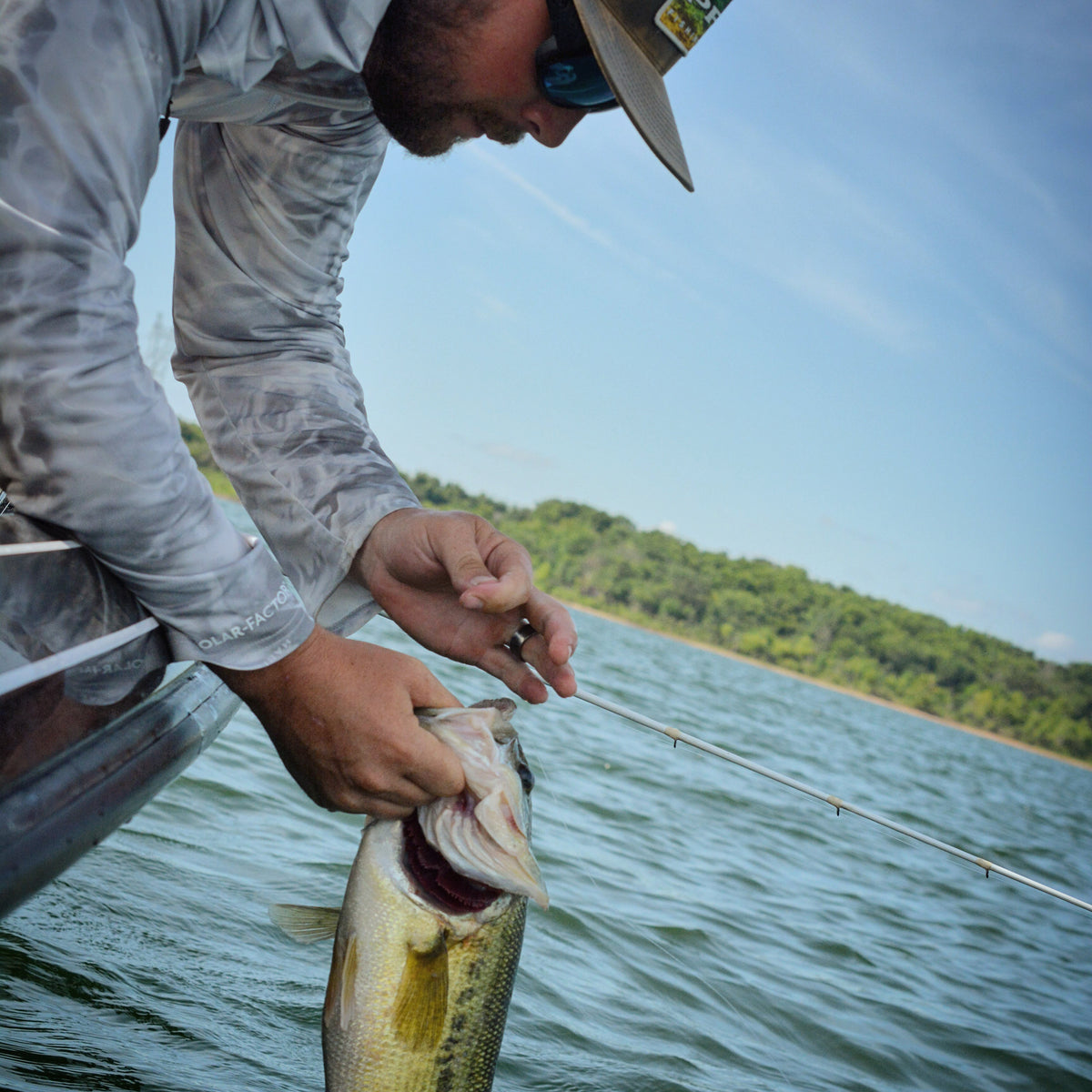 Mastering Fish Behavior: Essential Tips for Anglers to Catch More Fish ...