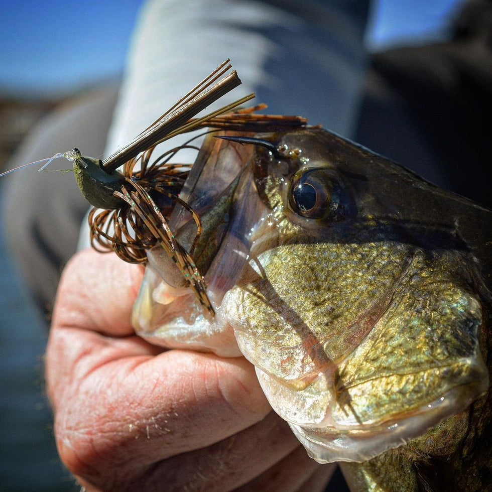 Motion Fishing Company - Custom Bass Jigs, Soft Plastics, and Apparel!